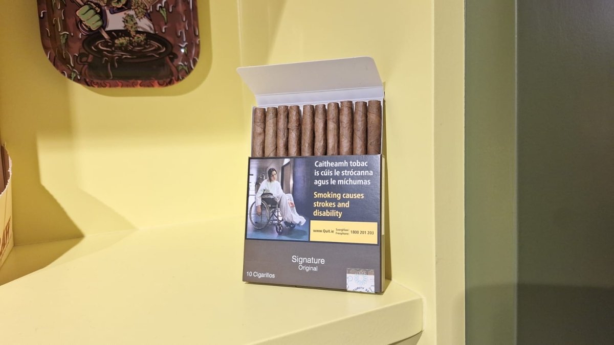 Signature Original Cigarillos – Plumes